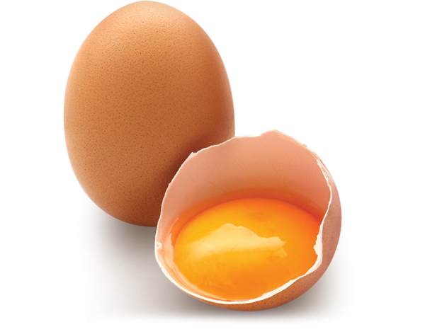 Buy Quality Eggs with Eggcellent price in Singapore Dasoon